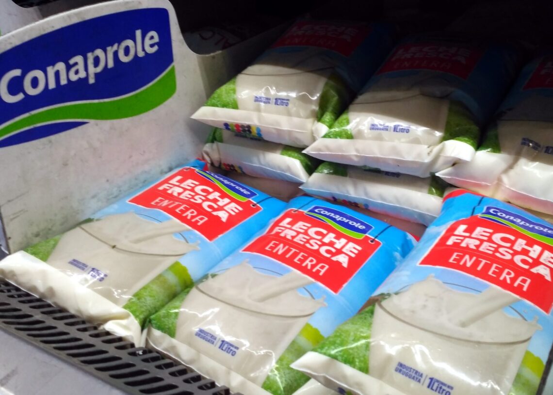 Chile: Precio de la leche inicia 2021 con alza de 9,9% - Portal Lechero