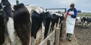 Historias y Protagonistas