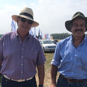 Con una importante inversión, Nestlé lanzó dos leches “más saludables ...