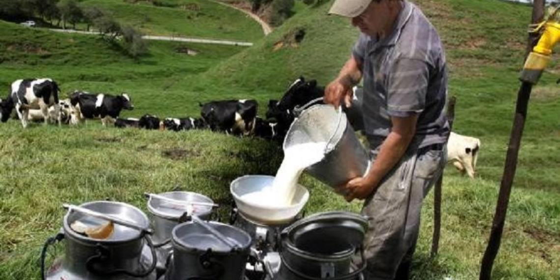 México: Decae hasta un 50 % la producción de leche - Portal Lechero
